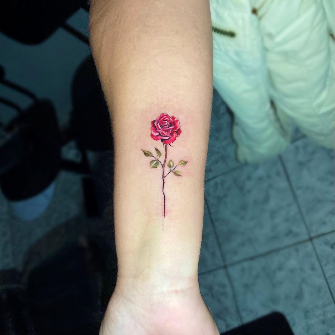 Tatuagem de rosa: 125 opções de desenho para inspirar você