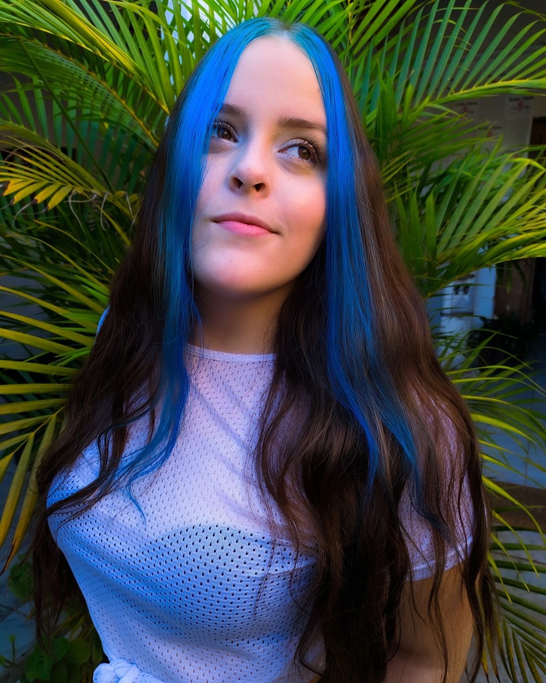Mecha frontal azul: inspirações diferenciadas e tutoriais