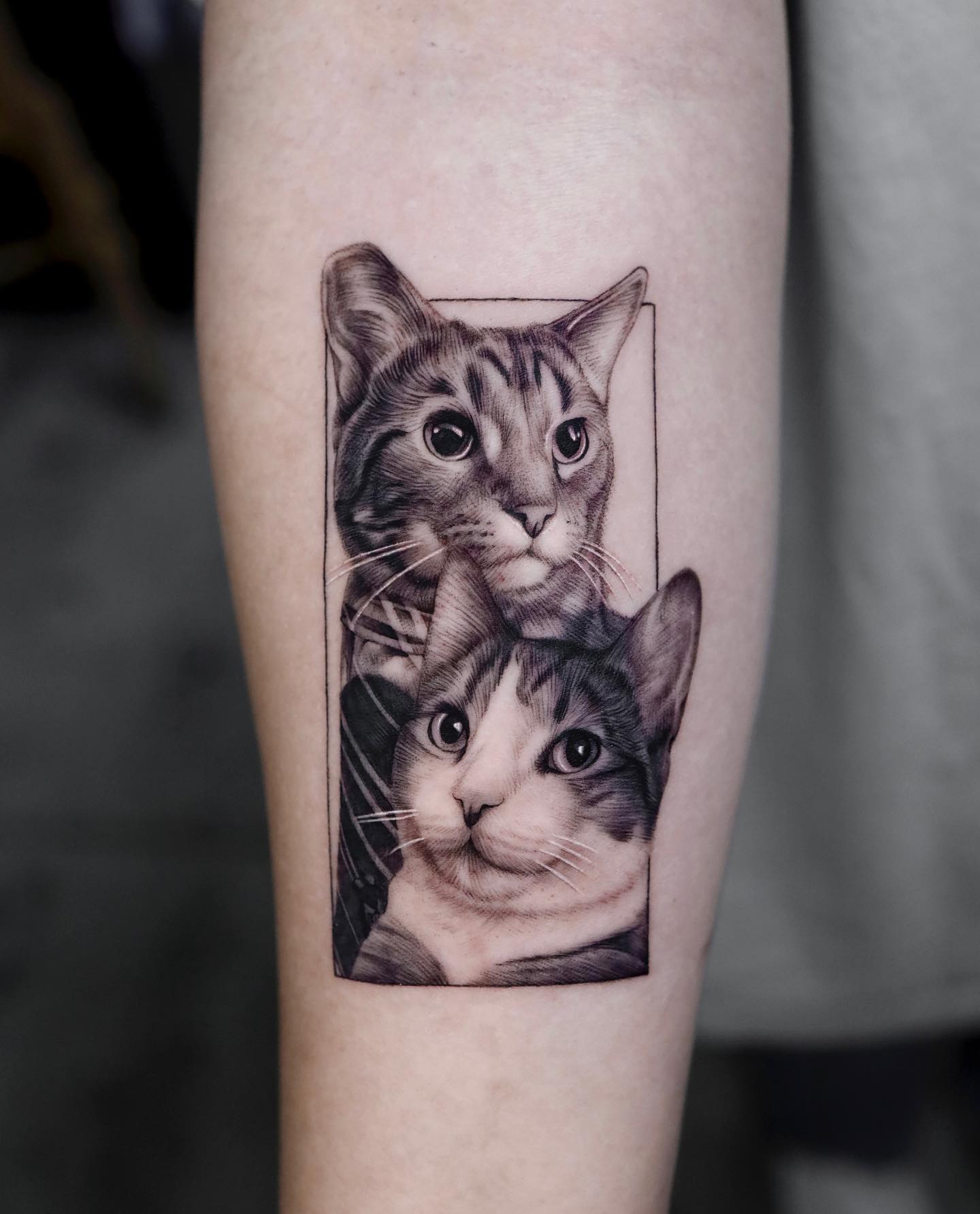 Tatuagem de gato: 90 ideias criativas para quem ama bichanos